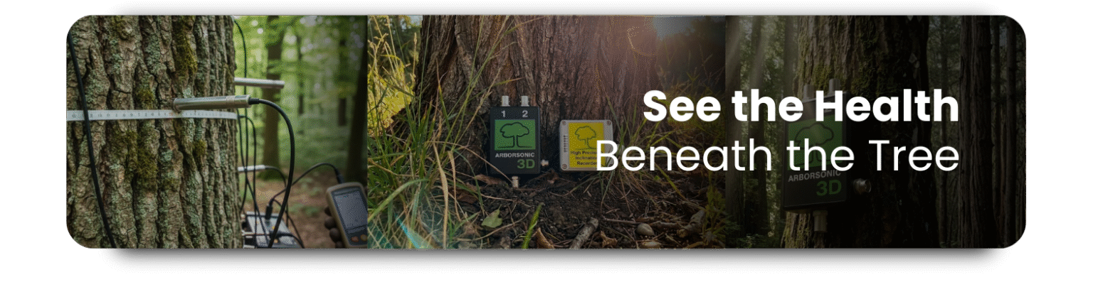 Tree Health Monitoring System - PT TAHARICA